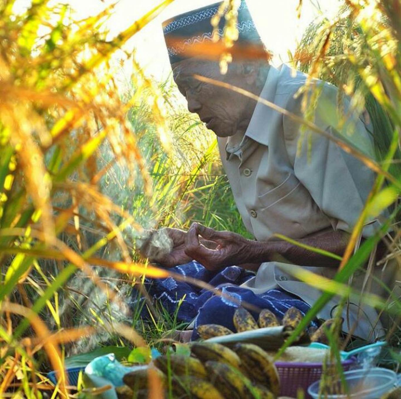 TRADISI WIWITAN CARA MASYARAKAT JAWA BERSYUKUR ATAS HASIL PANEN ...